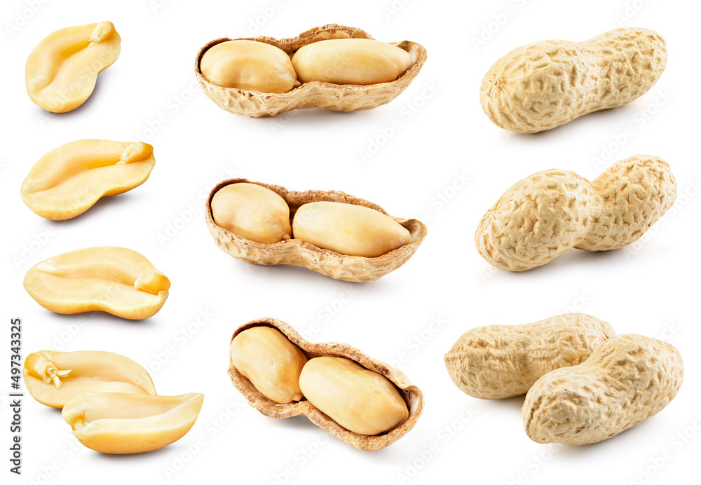 Peanut isolated. Peanuts set on white background. Peeled and unpeeled ...