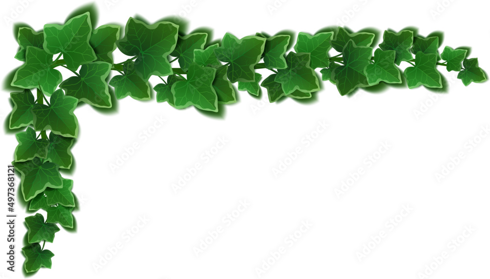 Corner Ivy Border Clipart