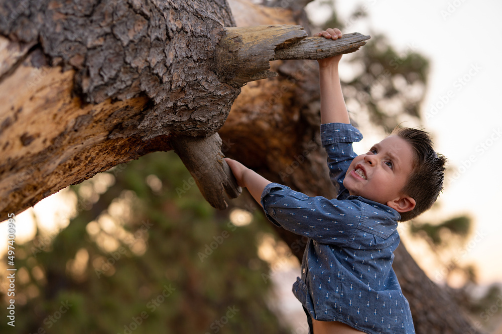 Niño feliz jugando escalando trepando un árbol haciendo fuerza en el ...