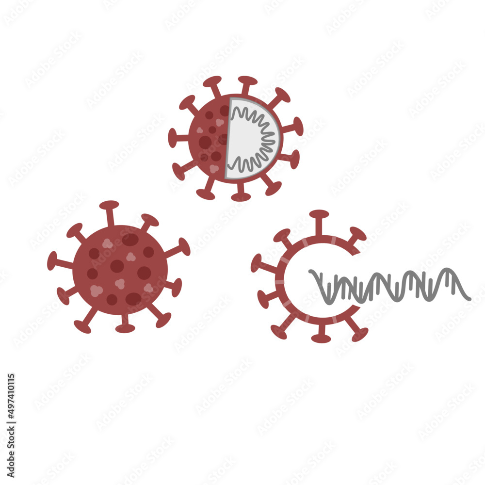 The structure of COVID-19 or SARS-CoV-2: Envelope (E), Membrane(M ...