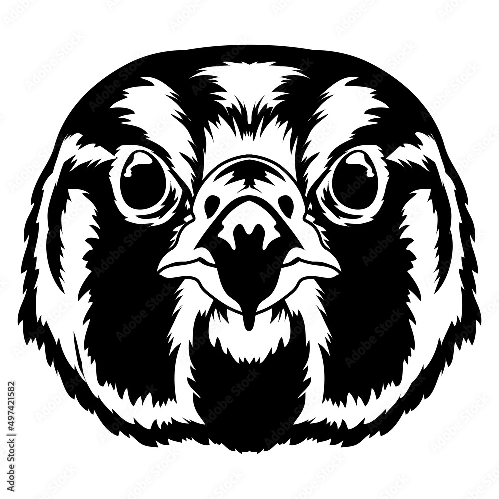 Falcon face vector illustration in decorative style, perfect for tshirt ...