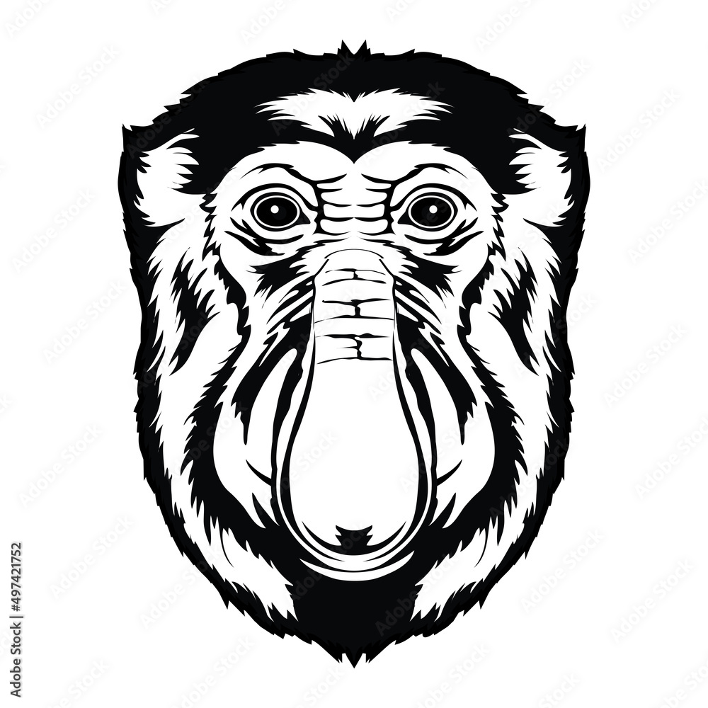 Proboscis Monkey face vector iilustration in hand drawn style, perfect ...