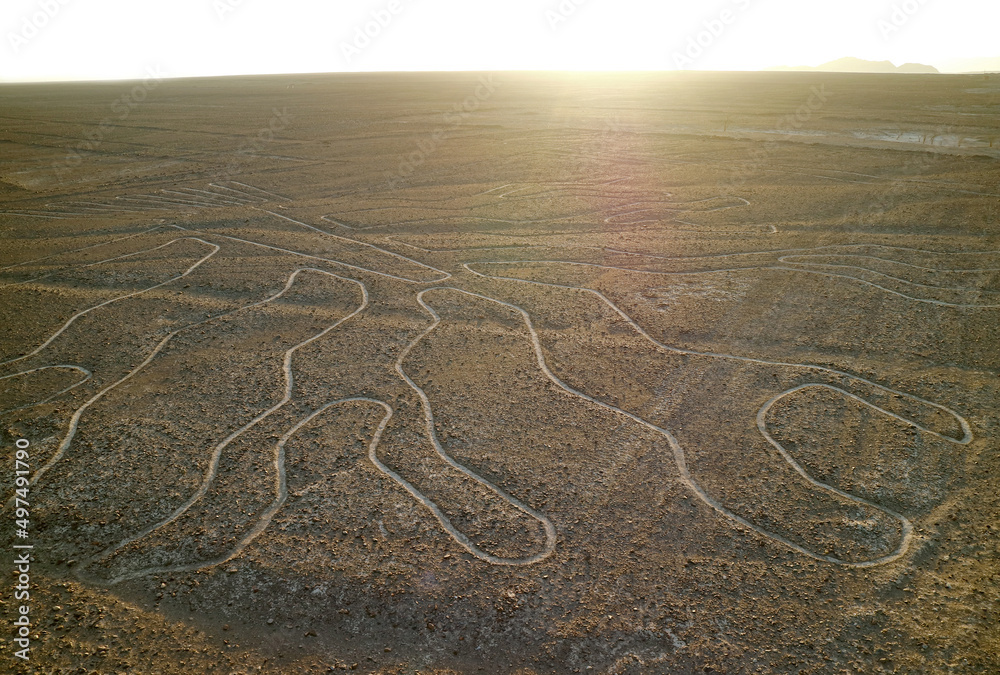 Amazing massive ancient geoglyphs of Nazca lines called Arbol (tree) in ...