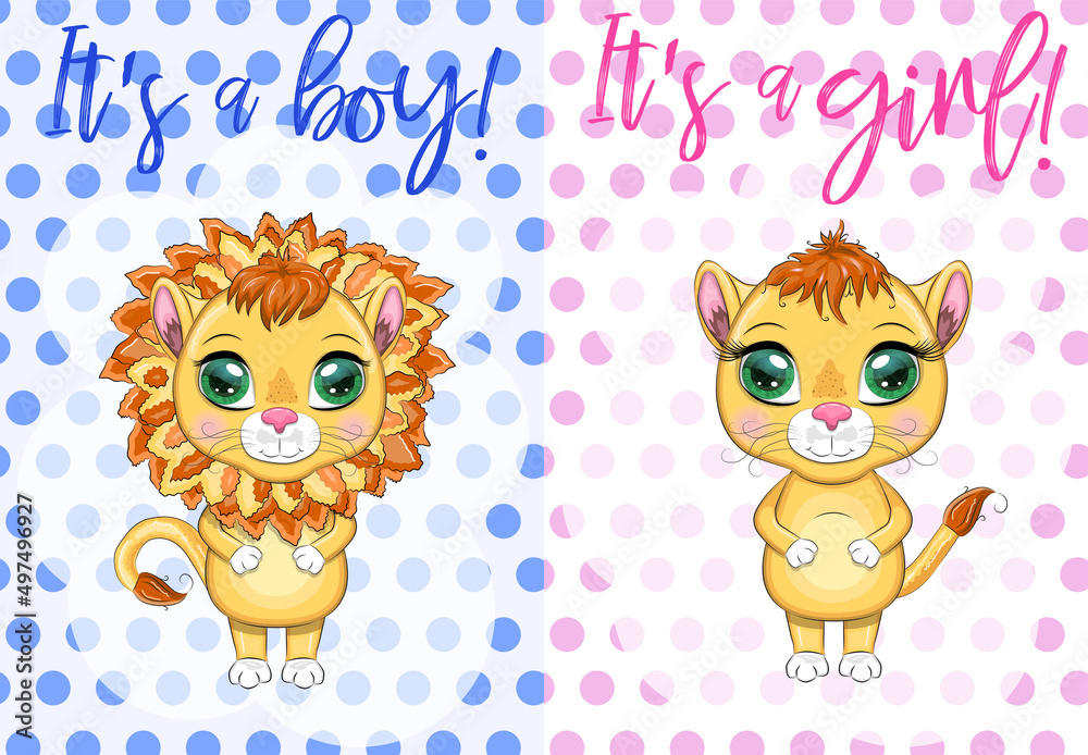 baby shower invitation for boy and girl.Blue and pink chevron ...