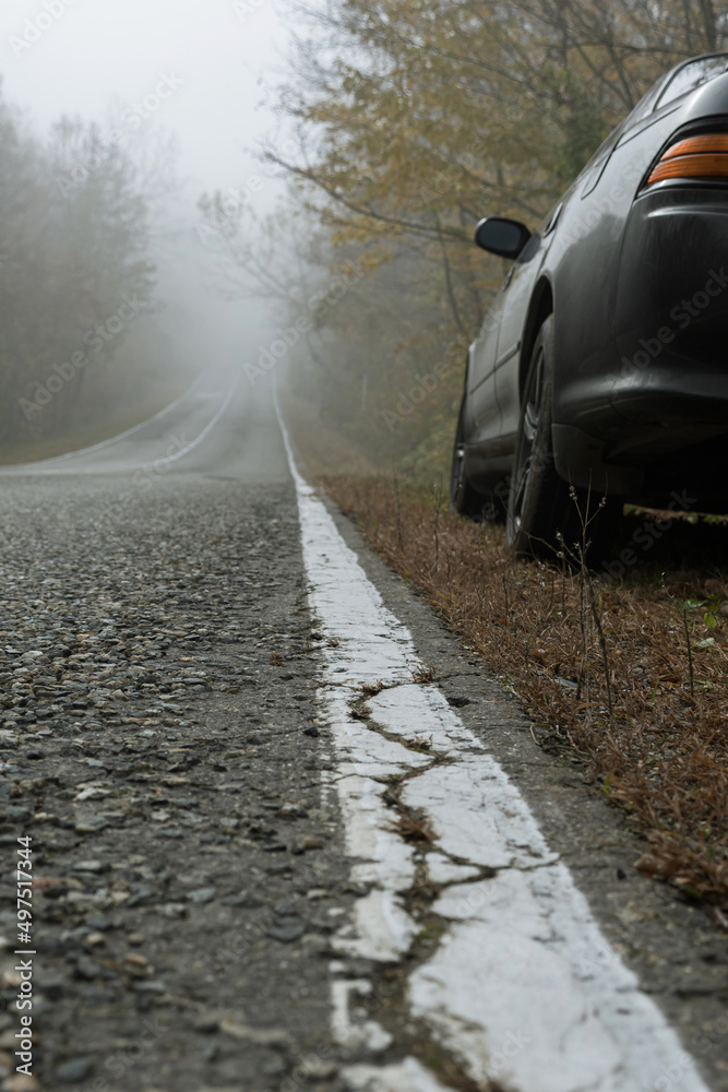 Car standing on the side of a country road in a foggy forest. Asphalt ...