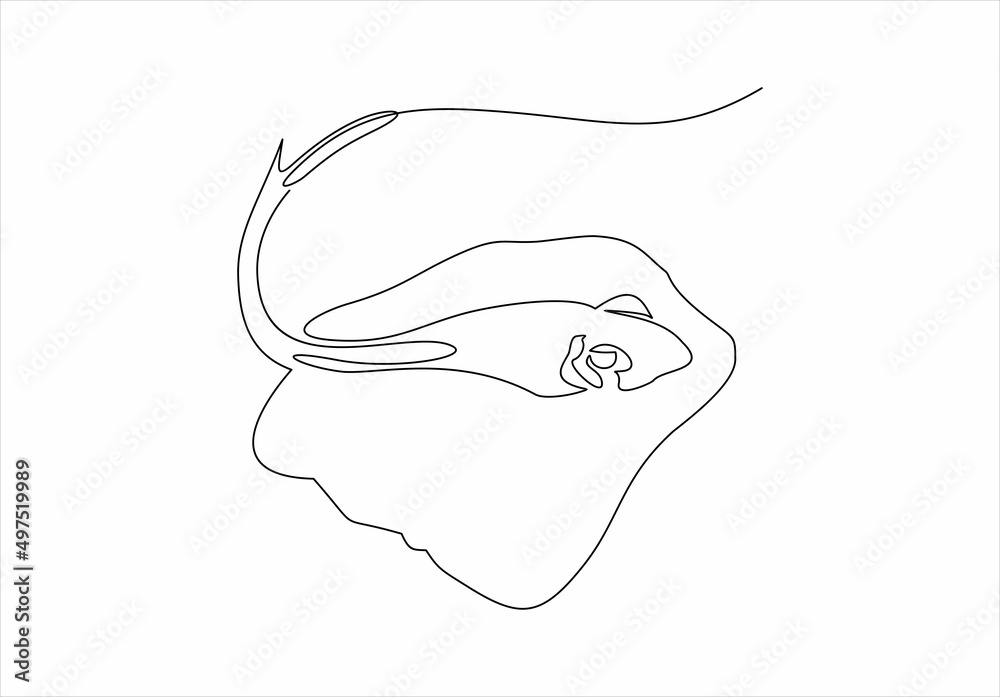 Single continuous line drawing of stingray.Modern one line draw design ...