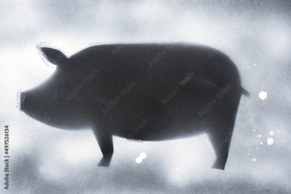 drawing of a pig with spray paint on black paper background Stock Photo ...