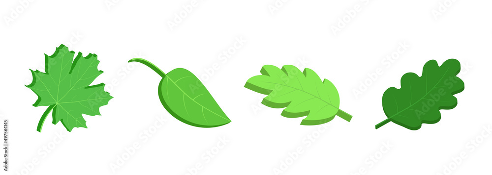 Green leaves 3d. Tree leaf isometric set. Vector clipart isolated on ...