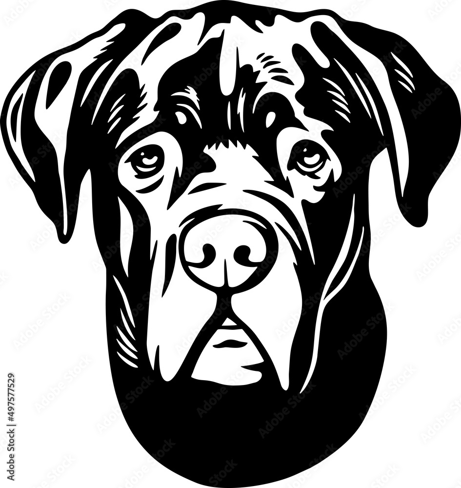 Cane Corso - Funny Dog, Vector File, Cut Stencil for Tshirt Stock ...