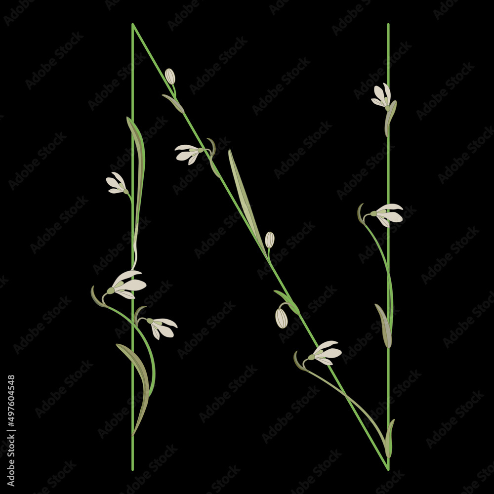 Beautiful letter N with blooming branches of snowdrop flower (Galanthus ...