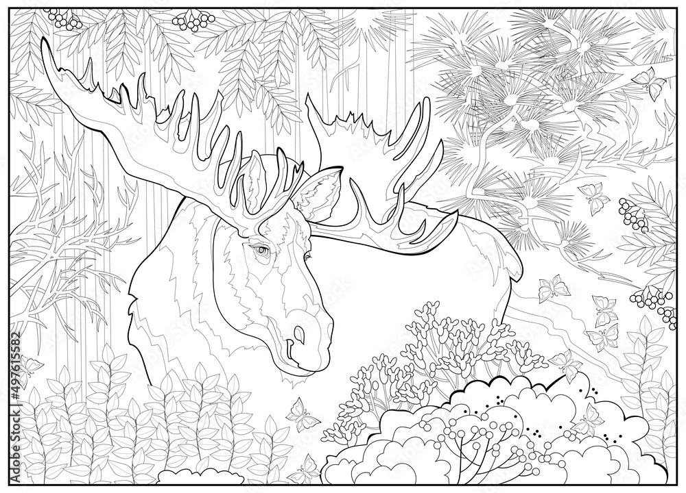 Realistic Elk Coloring Pages