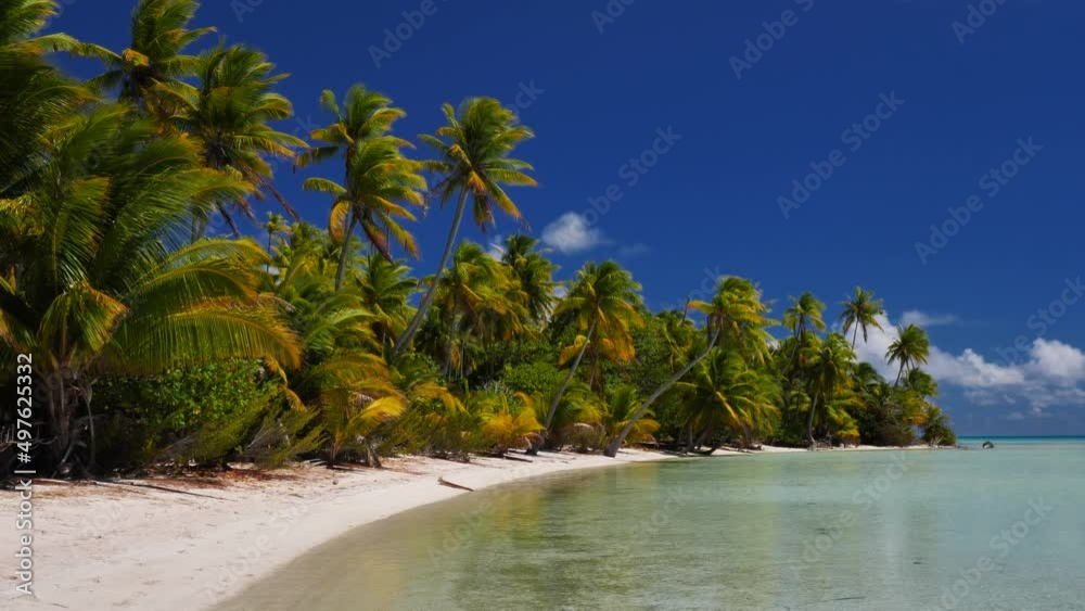 Coconut palmtrees on the most beautiful tropical beach of the atoll of ...