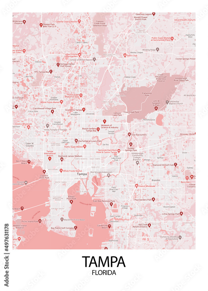 Poster Tampa - Florida map. Road map. Illustration of Tampa - Florida ...