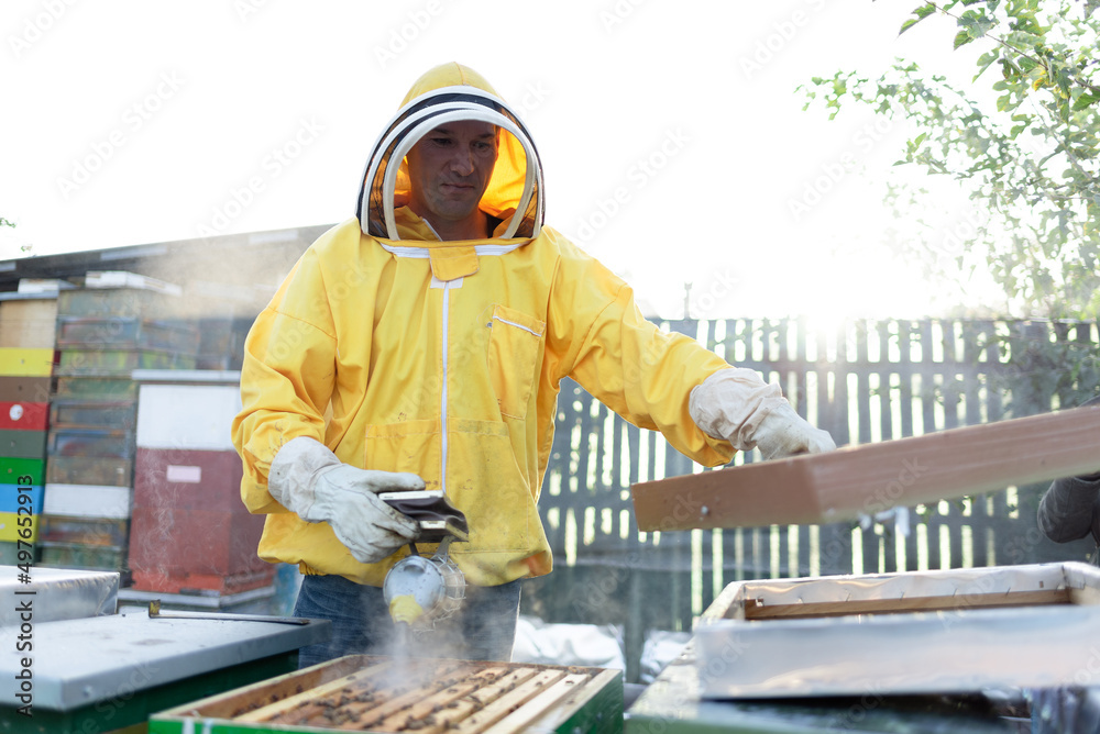 Professional beekeeper working outdoors and wearing the protective ...