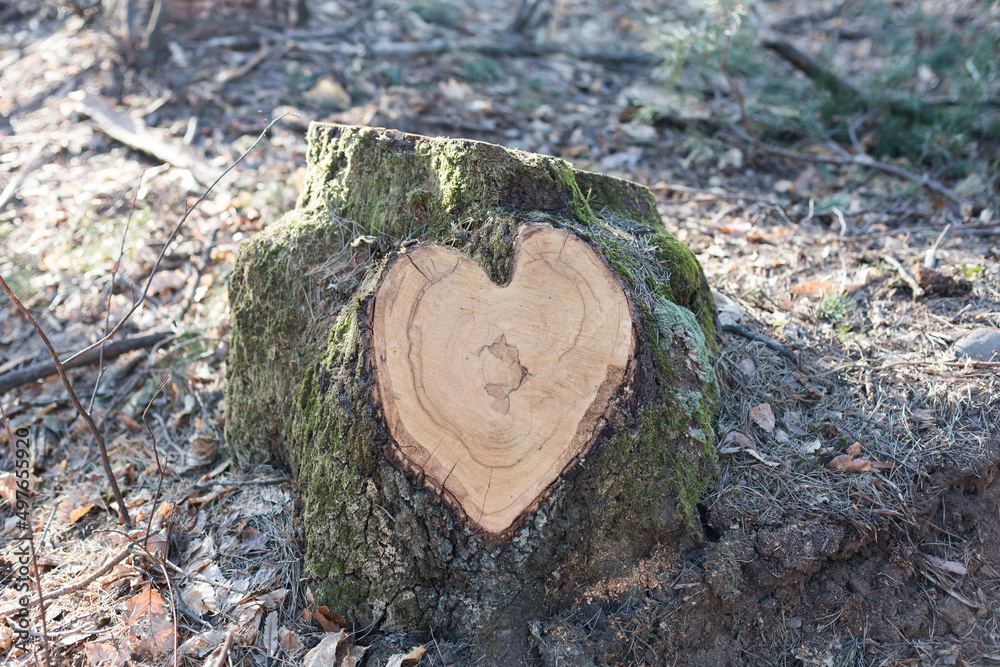 heart on a tree Stock Photo | Adobe Stock