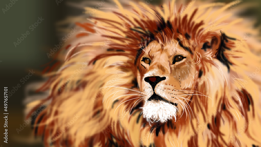 สิงโต lion, animal, cat, wild, mane, wildlife, zoo, king, nature ...