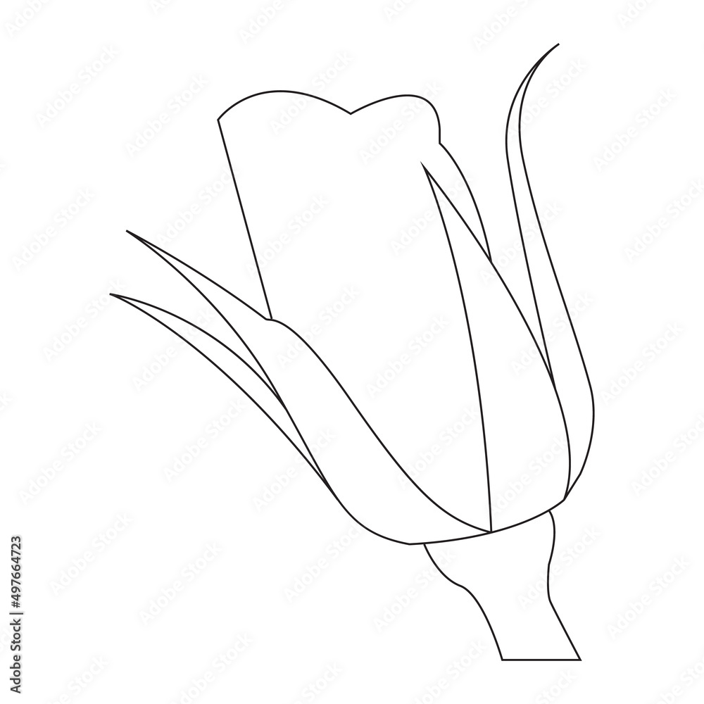 Beautiful Easy Roses Flowers Coloring book For Preschool Children. Cute ...