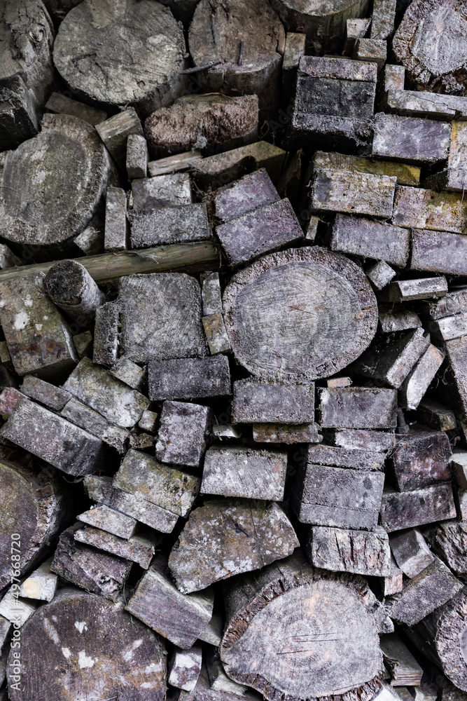 Geometric shapes in stack of wood log pile Stock Photo | Adobe Stock