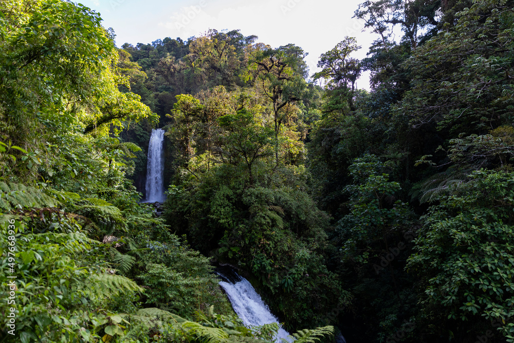 Beautiful Waterfall Cascade Landscape in Costa Rica Rainforest Stock ...