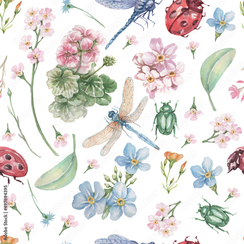 dragonfly beetle ladybug insects and flowers geranium and forget-me ...