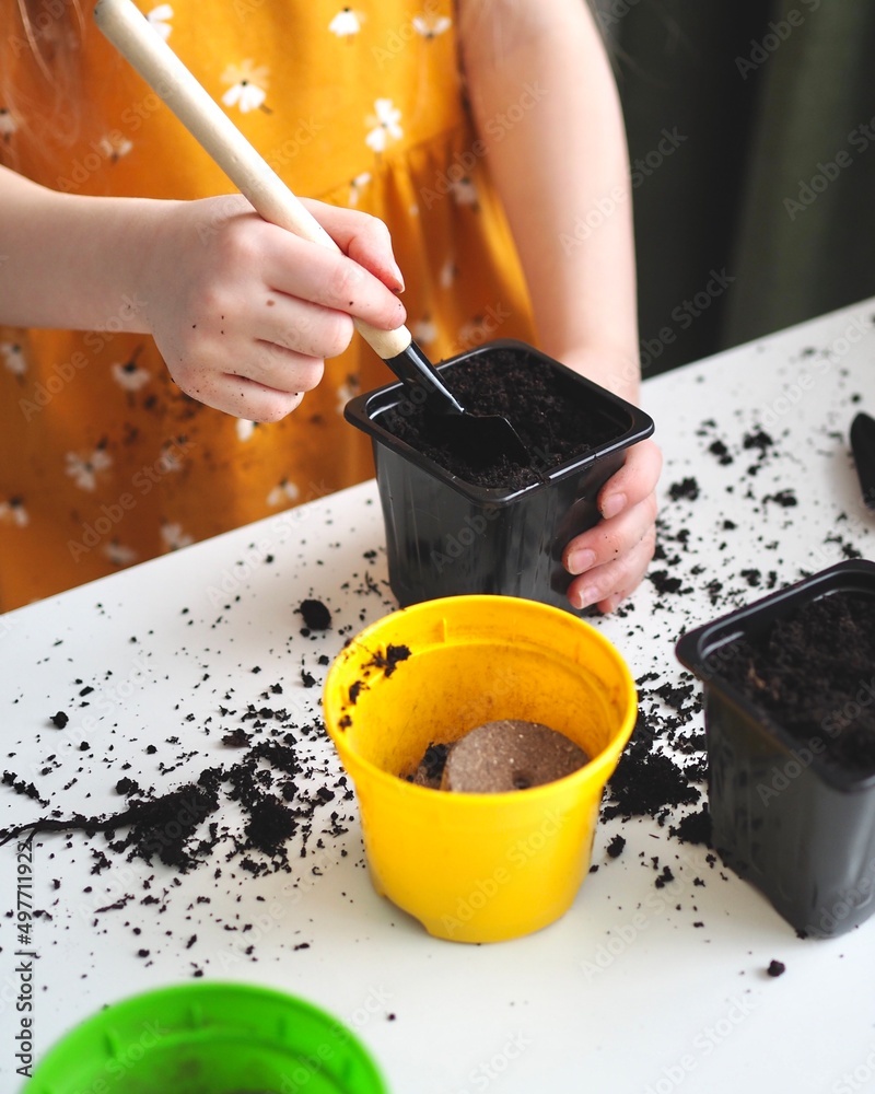 Female child hands holding garden tools. Little girl planting seeds in ...