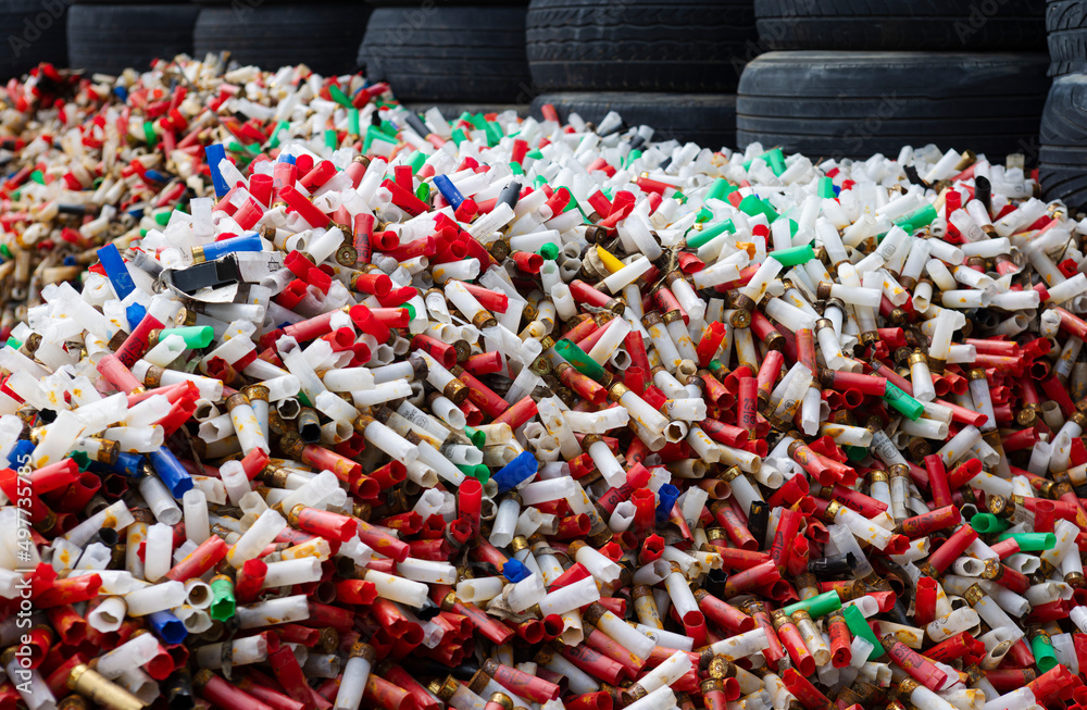 Many shotgun shells of various colors with empty fired cartridges , Can ...