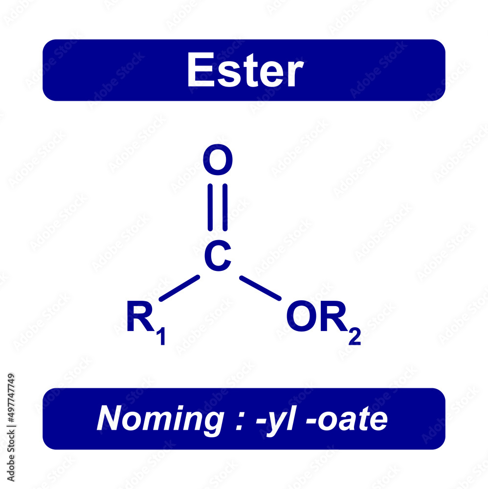 Ester Group