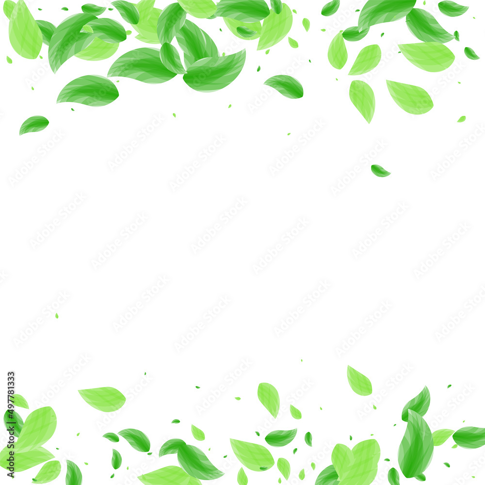 Light Green Greenery Background White Vector. Vegetation Summer Design ...