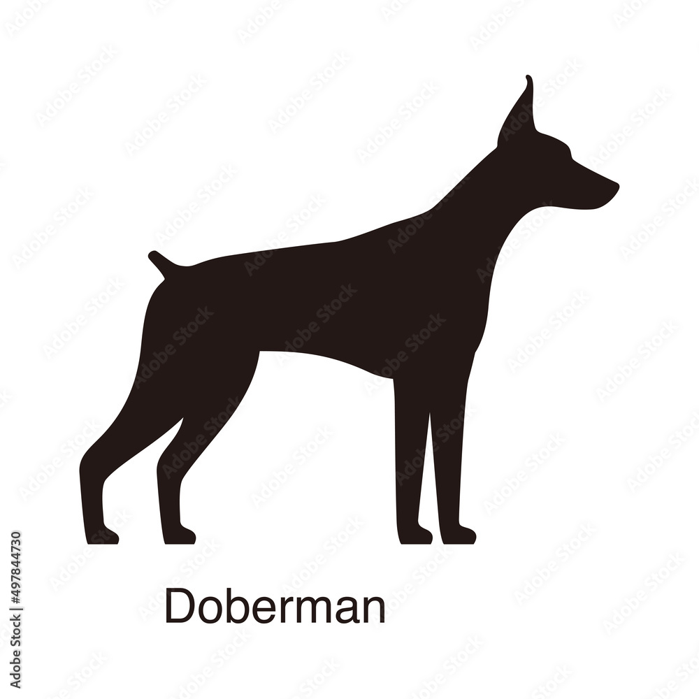 Doberman dog silhouette, side view, vector illustration Stock Vector ...
