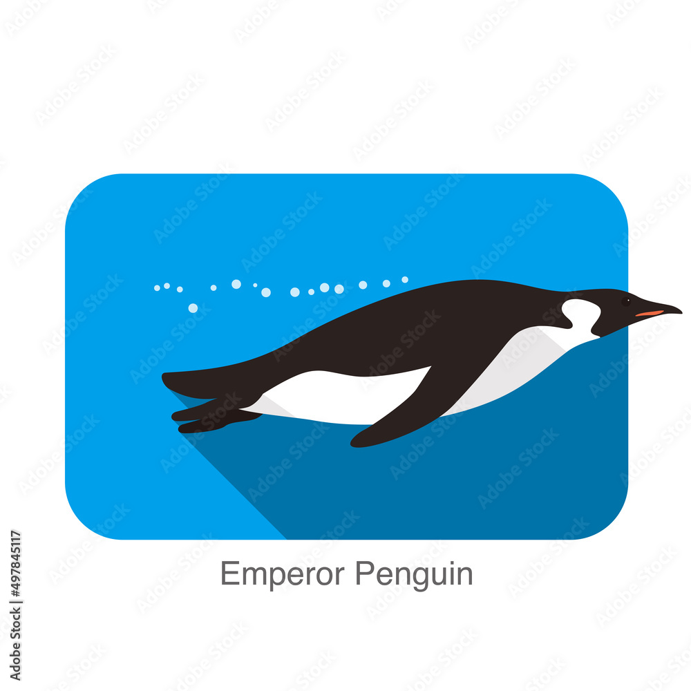 Emperor Penguin swimming in the water, Penguin seed series, vector ...