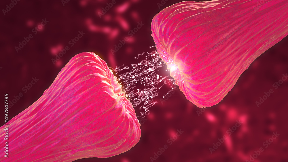 Neurotransmitters Animation