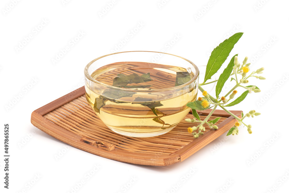 Ngai Camphor and tea isolated on white background. Stock Photo | Adobe ...