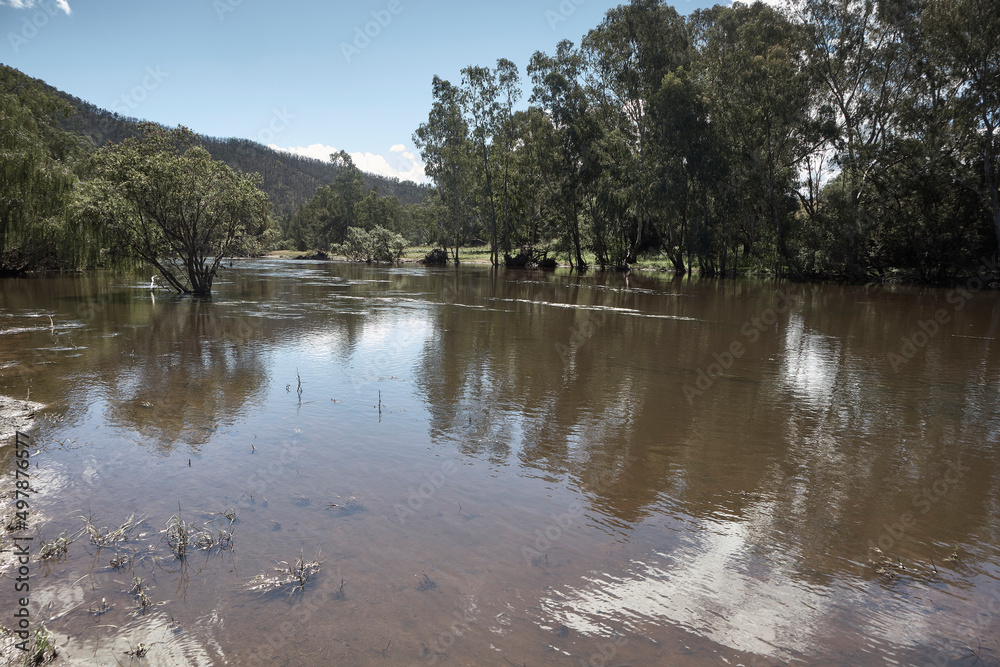 The Gwydir River near Bingara, NSW, just after the floodwaters receded ...