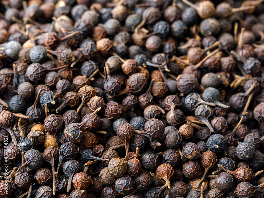 cubeb tailed pepper macro background. Piper cubeba top view, close up ...