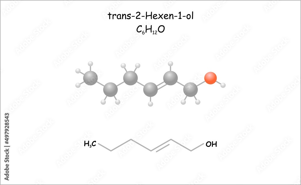 Stylized molecule model/structural formula of trans-2-hexen-1-ol ...