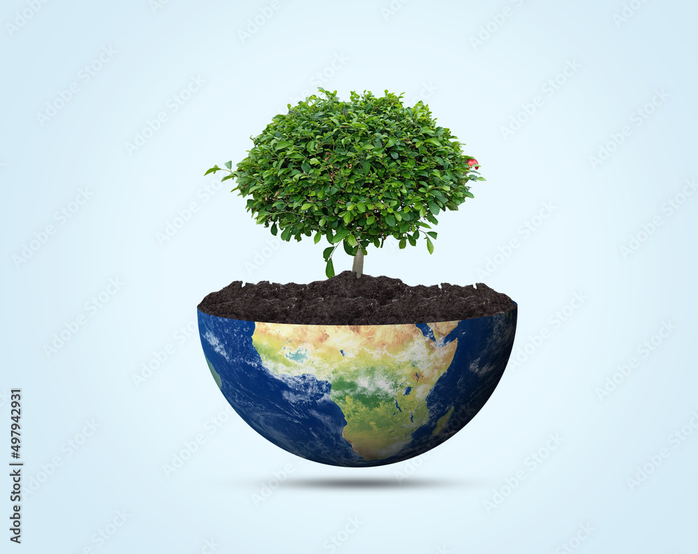 World Earth Day concept or Environment Day concept.Invest in our planet ...