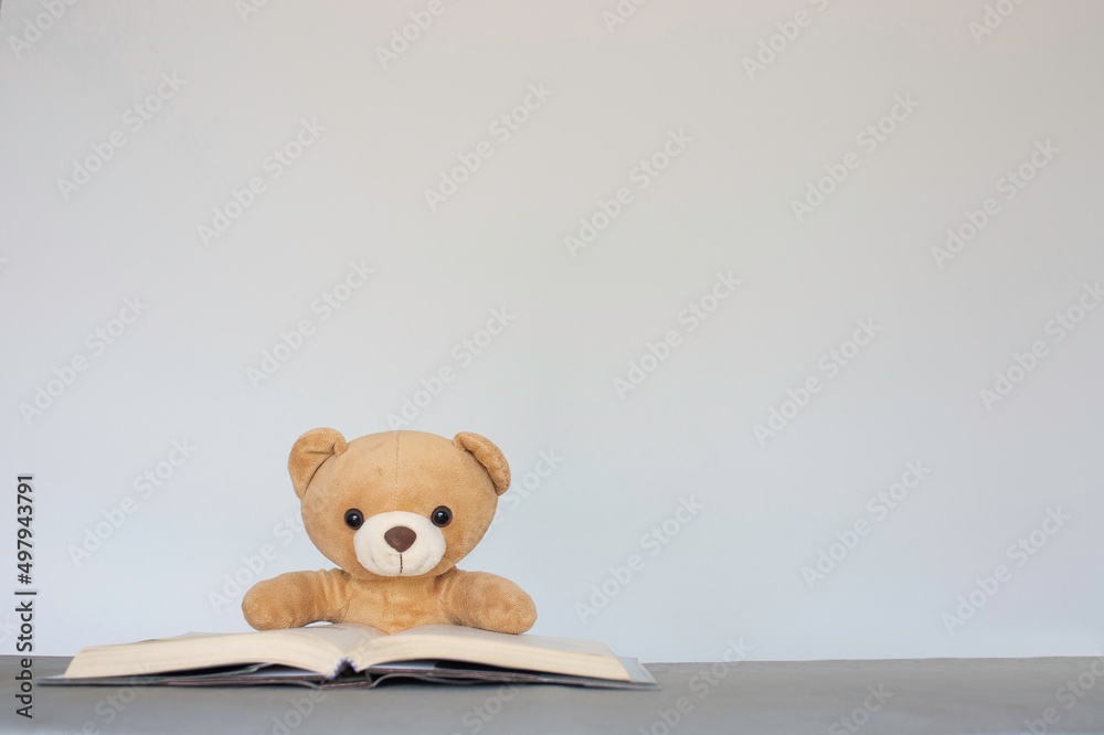 Brown teddy bears sitting on a white background reading a book. Concept ...