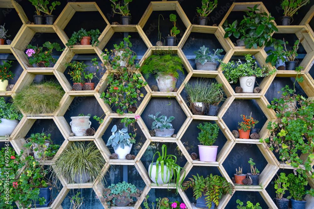 seamless hexagon pattern garden shelves Stock Photo | Adobe Stock