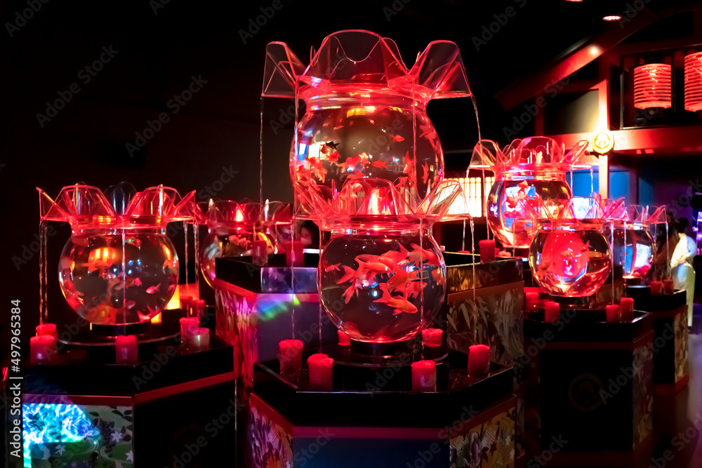 tokyo, japan - july 18 2021: Multiple glass aquarium fish bowls from ...