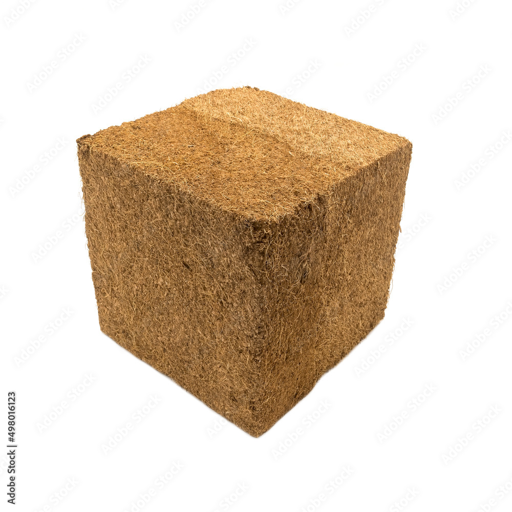 Coco peat cube (12 x 12 x 12 cm) Stock Photo | Adobe Stock