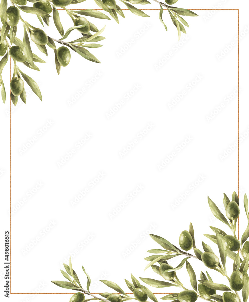 Watercolor border with olive branch and leaves isolated on a ...
