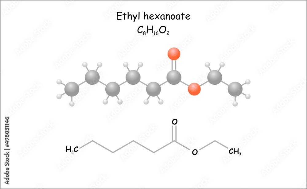 Stylized molecule model/structural formula of ethyl hexanoate. Use as ...