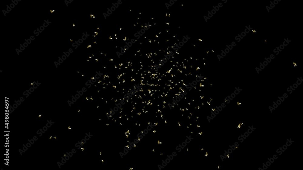 4K Loop Background of Bee insect flying in summer nature. Bee family of ...