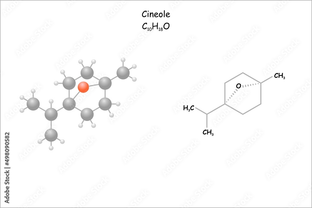 Stylized molecule model/structural formula of cineole. Use as flavour ...