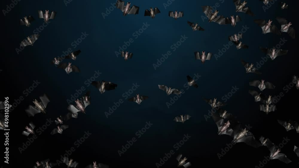 4K Flying bats into camera motion graphics with green screen Loop ...