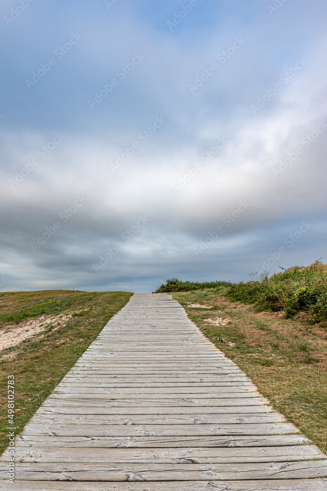 Road and nature. It is about wooden pavement, floor, passage, path ...