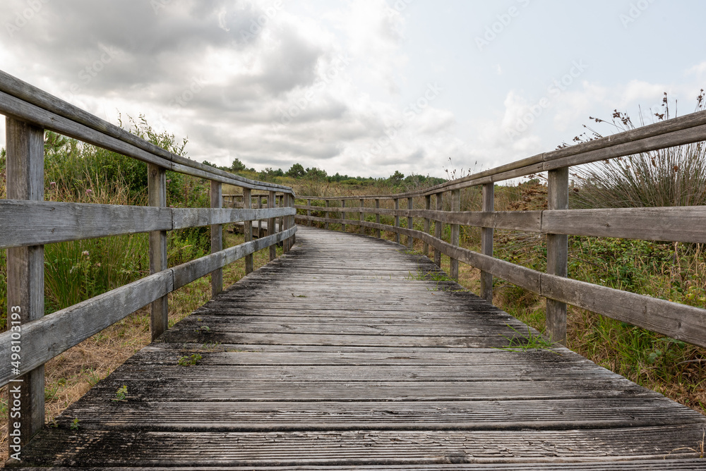 Road and nature. It is about wooden pavement, floor, passage, path ...