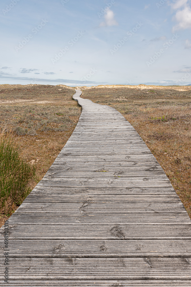 Road and nature. It is about wooden pavement, floor, passage, path ...