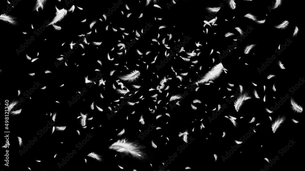 4K Loop Beautiful white feathers filling explode in the air and then ...