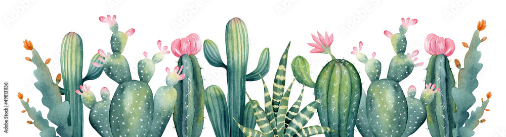Watercolor summer border of cactus and succulent with pink flower. Hand ...